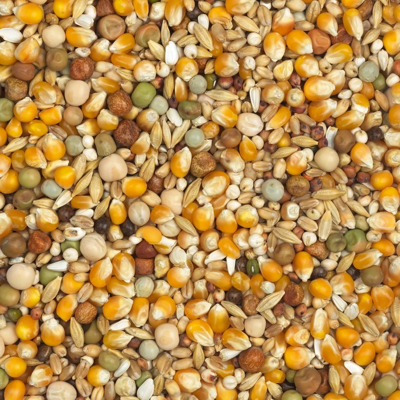 Mixtura Palomas PICHONES - CentroMascotas